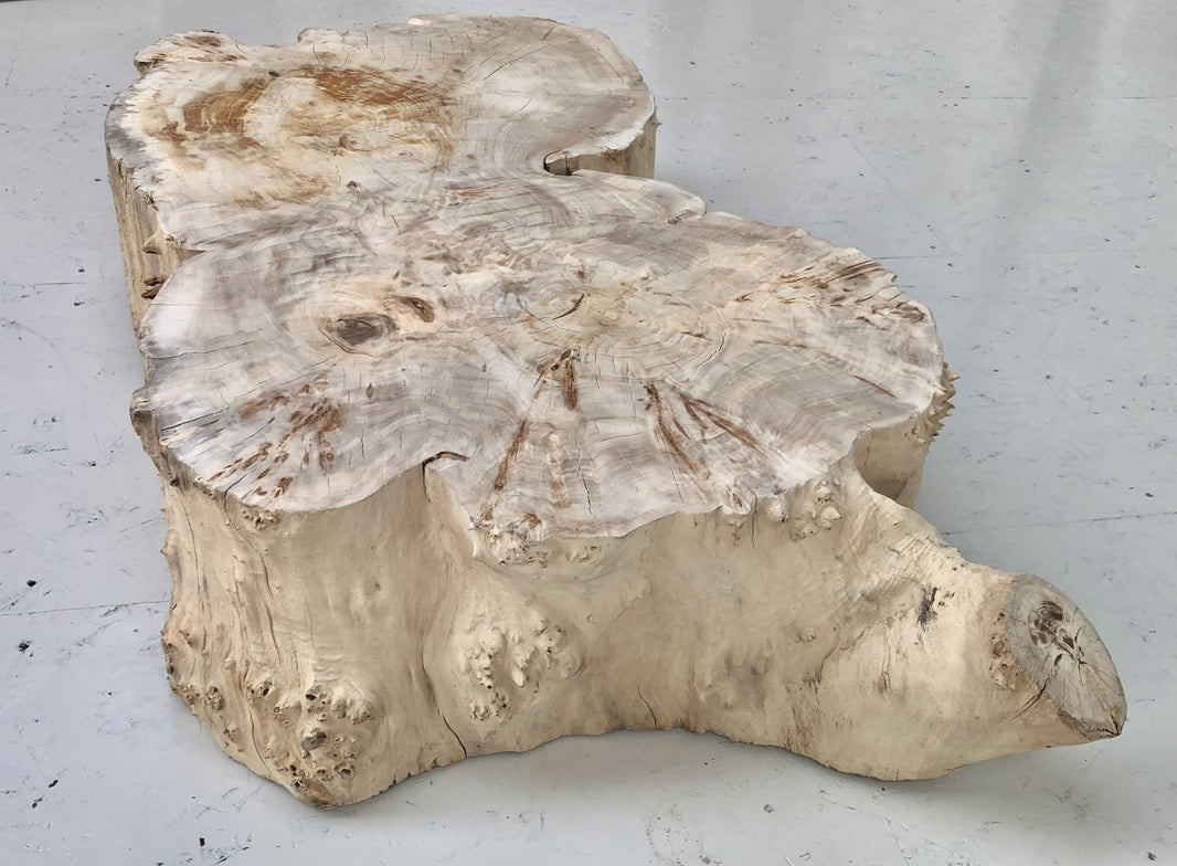 COFFEE TABLES – Hidden Gems design