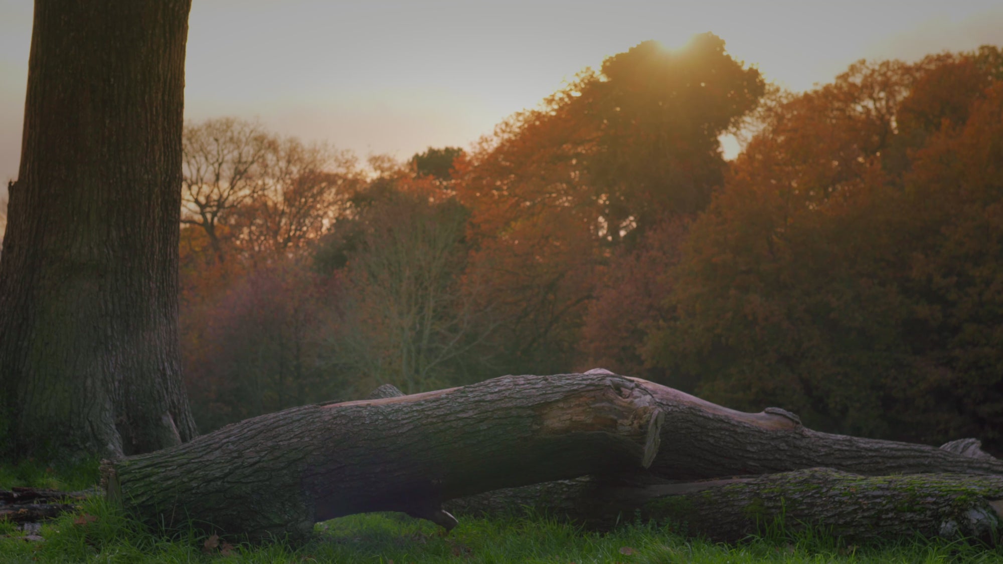 ABOUT US – Hidden Gems design